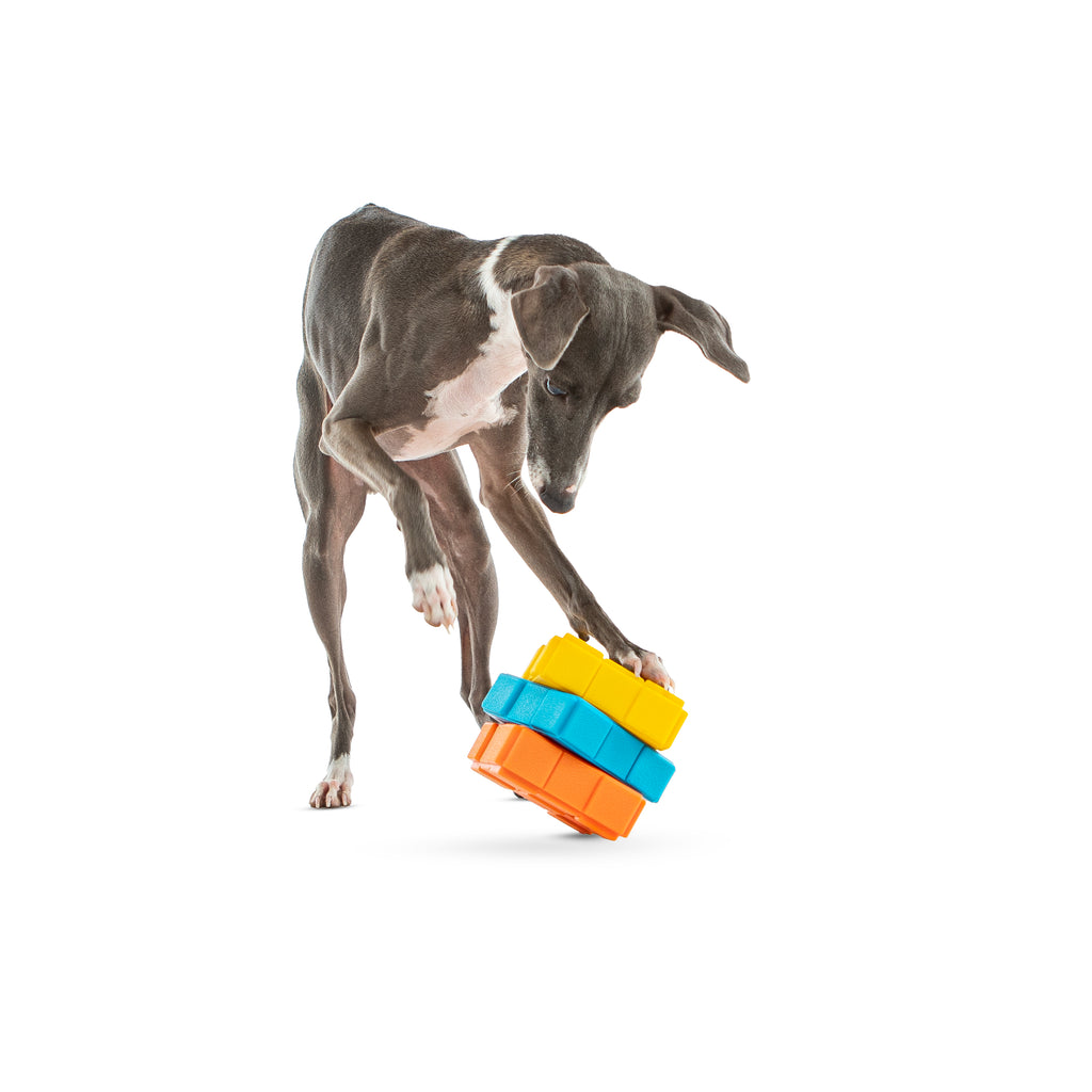GURU Dog-X-Cube (MED) – Gralen Company