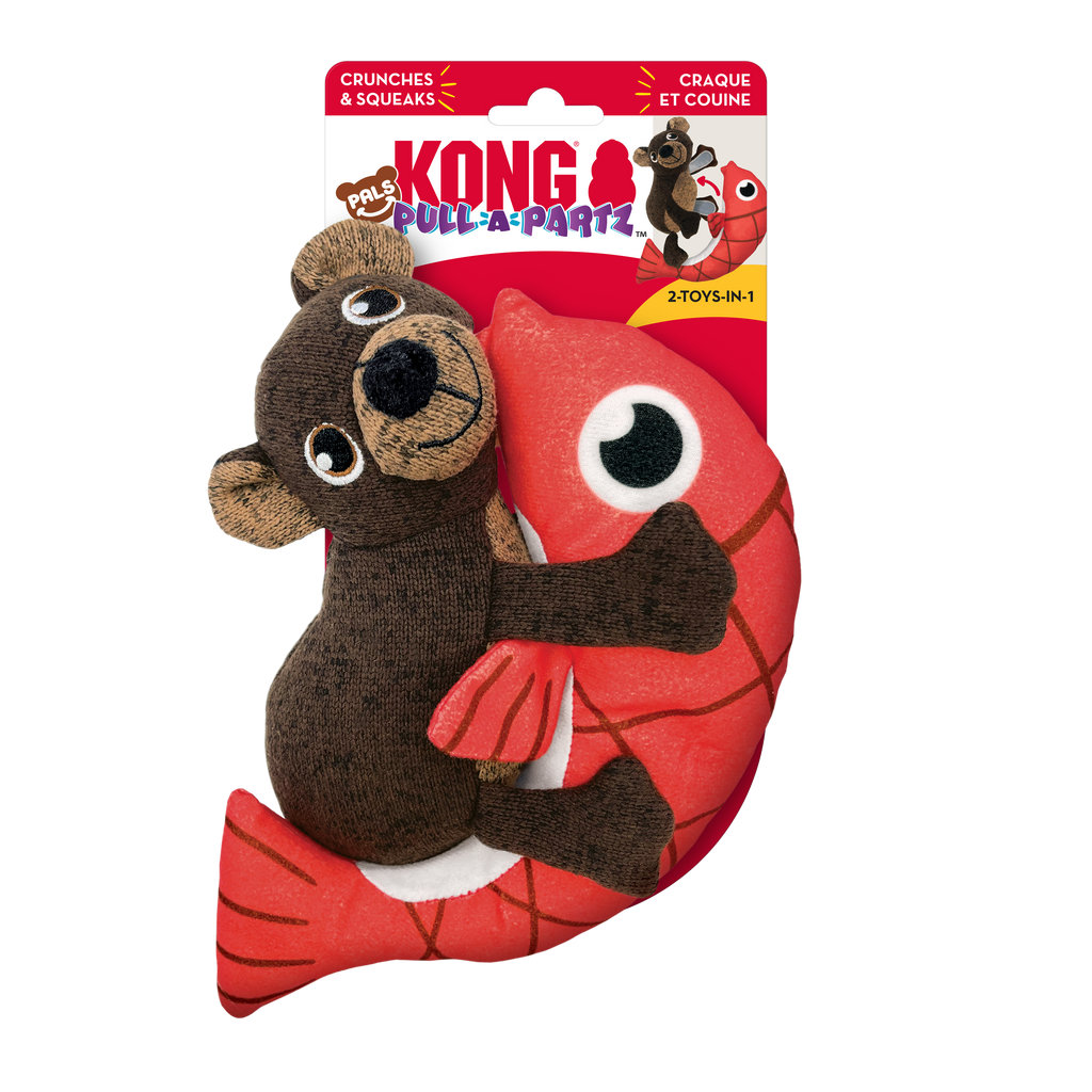 KONG Pull-A-Partz Pals Bear Medium – Gralen Company