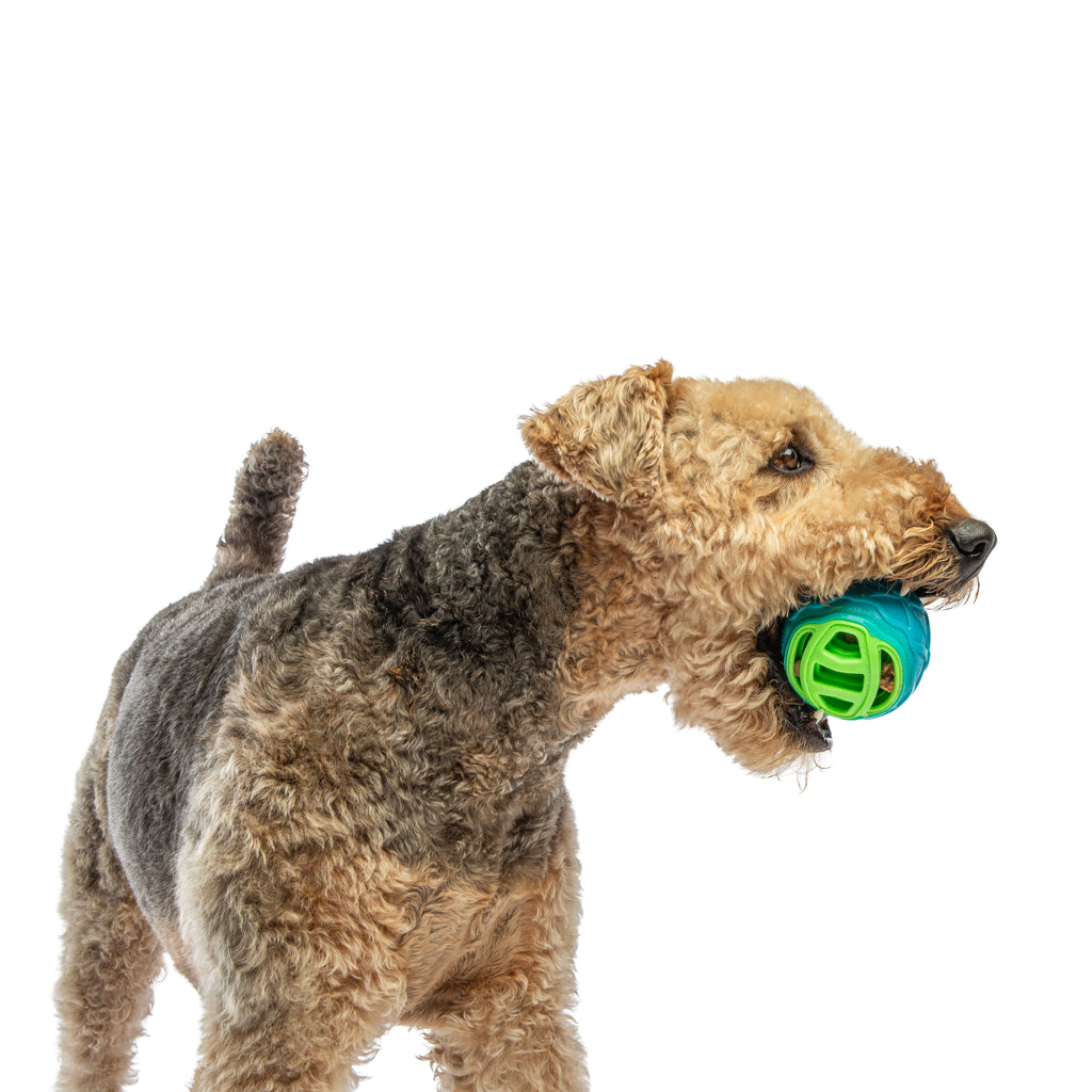 GURU Pocket Ball – Gralen Company
