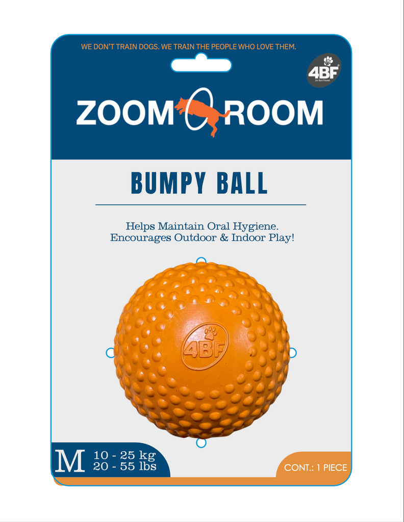 Zoom Room Bumpy Ball – Gralen Company