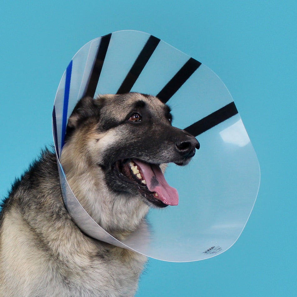 KVP EZ CLEAR™ Collar – Gralen Company